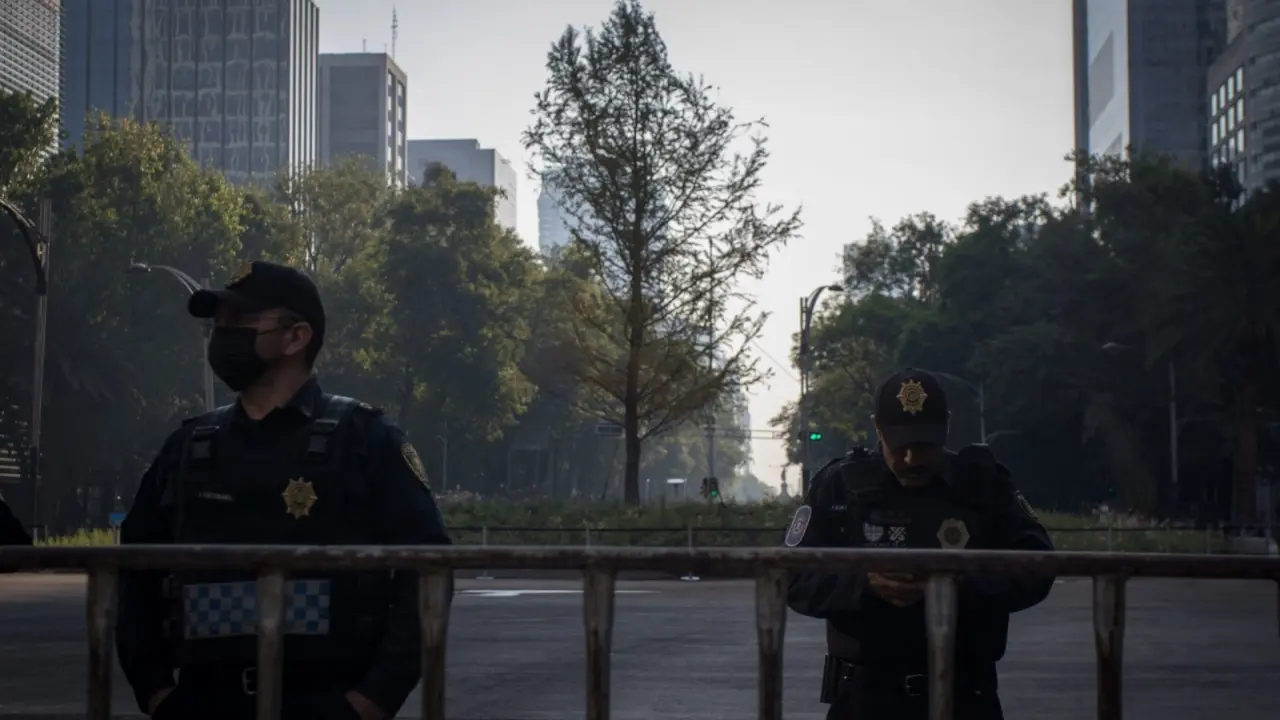 ¿El ahuehuete de Paseo de la Reforma se secó? Esto es lo que sabemos ...