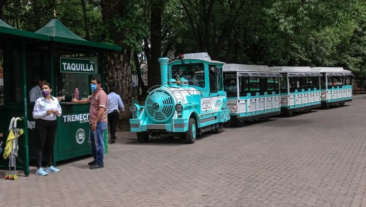Trenecito Chapultepec: ¿Dónde tomarlo y cuánto cuesta? - Quinto Poder