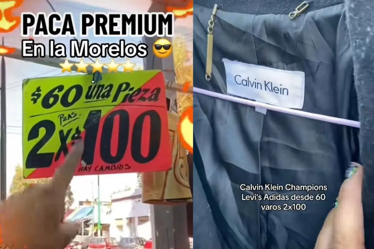 ¿En dónde se encuentra la paca secreta de ropa Adidas y Calvin Klein ...