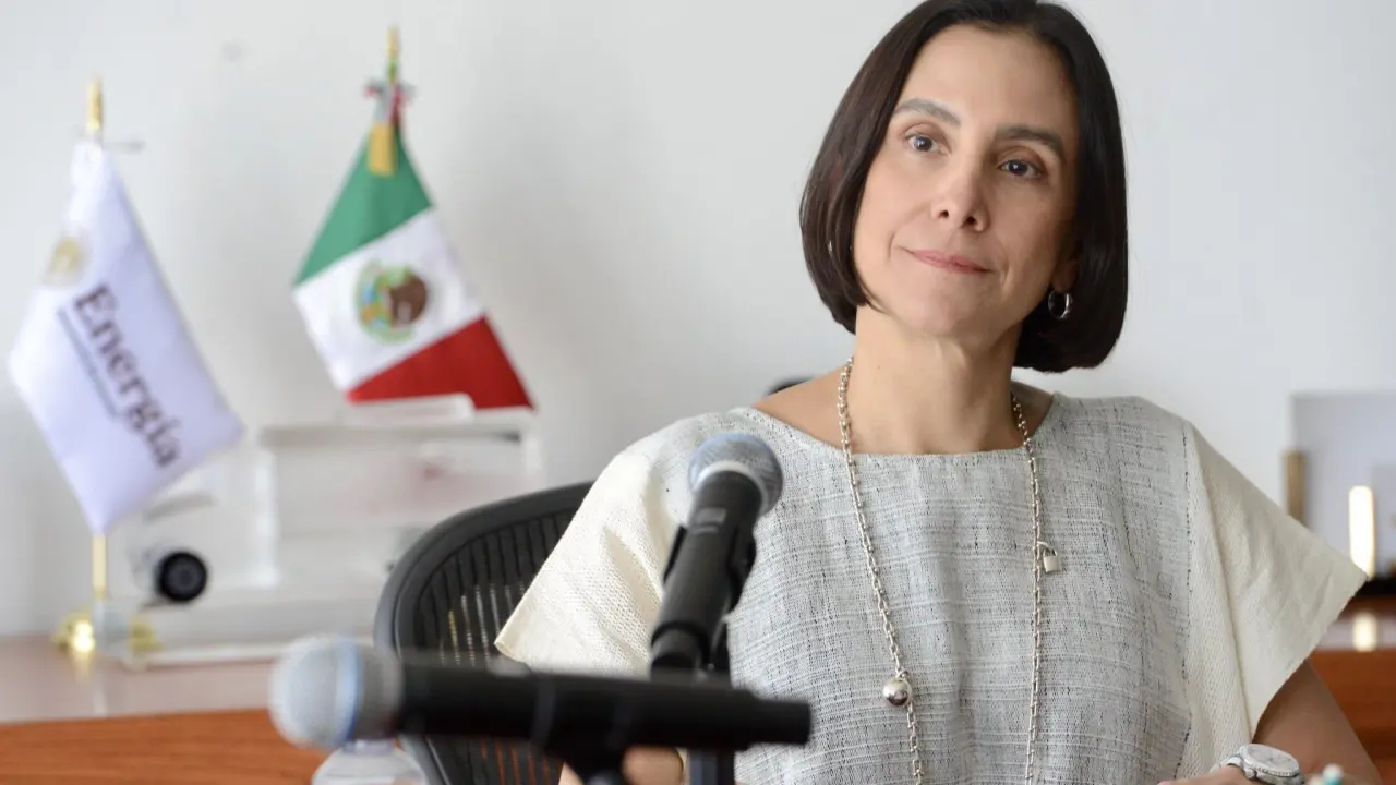 Luz Elena González presenta modelo energético para contratos - Quinto Poder